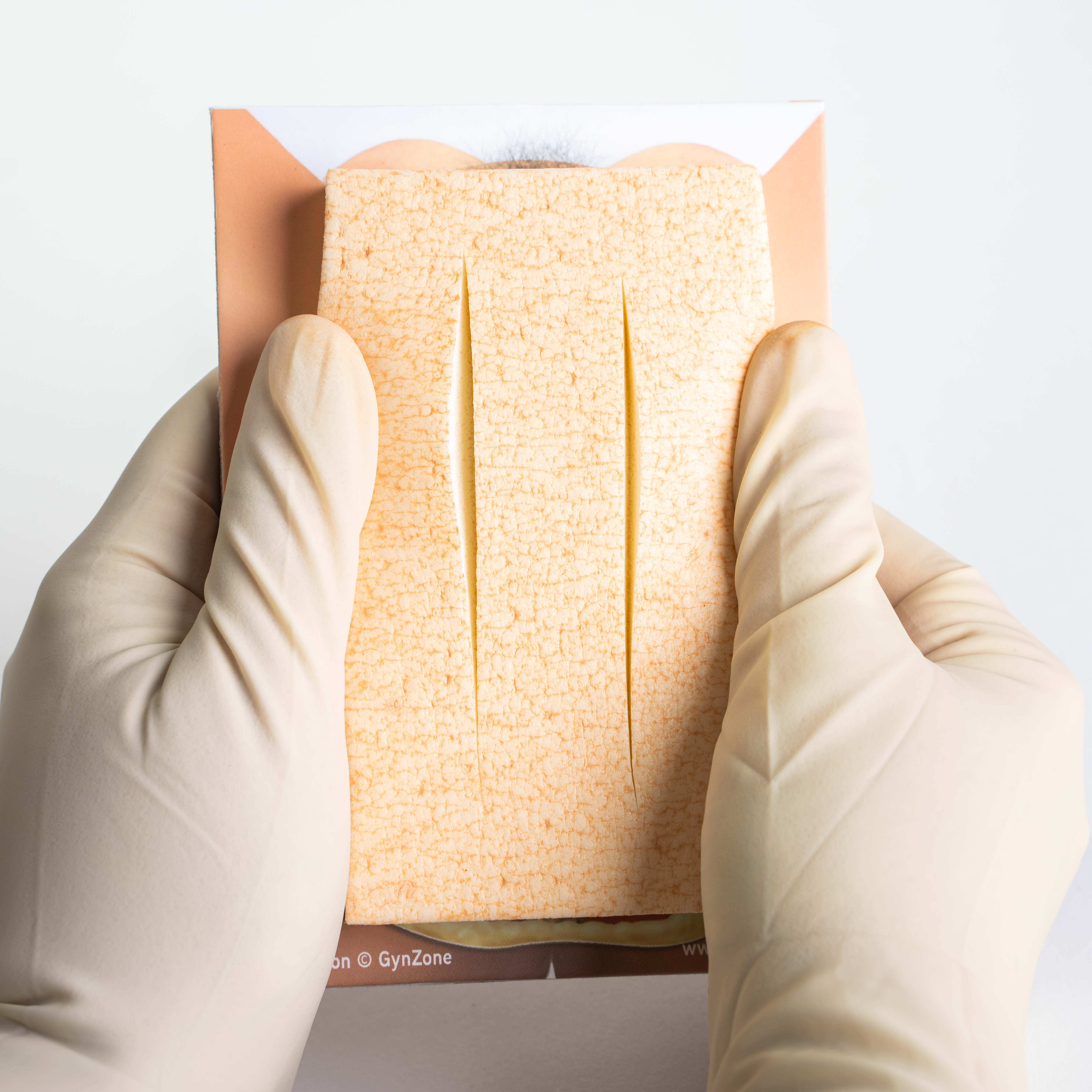 Basic Surgical Skills Suture Kit | Vulva Enterprise