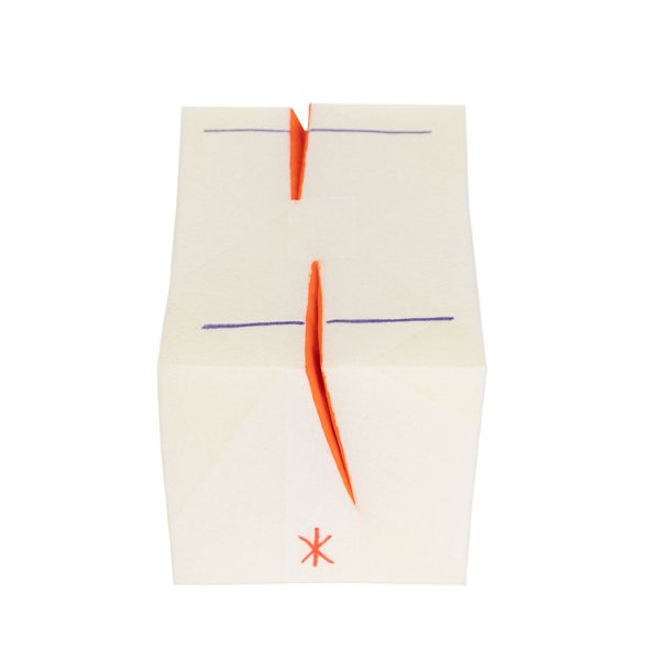 Mediolateral episiotomy repair trainer - patient's left side ...