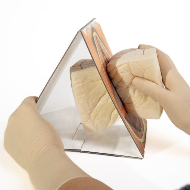 Workshop In A Box Perineal Repair Of First And Second Degree And