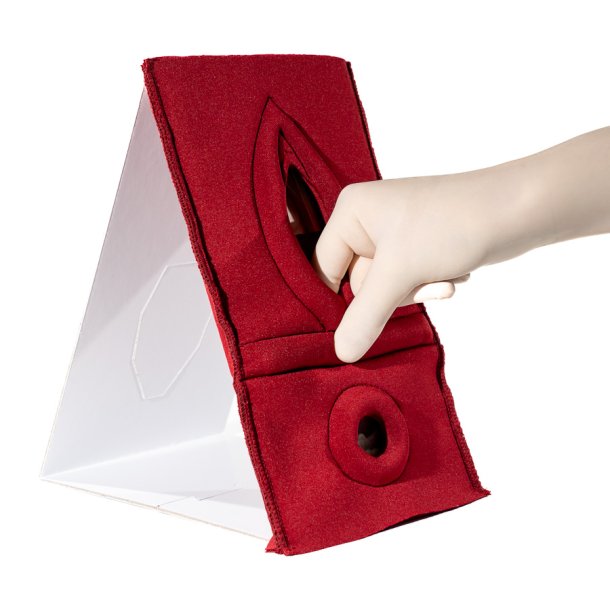 Set of 4: Palpation of superficial perineal muscles, 2nd degree trauma ...